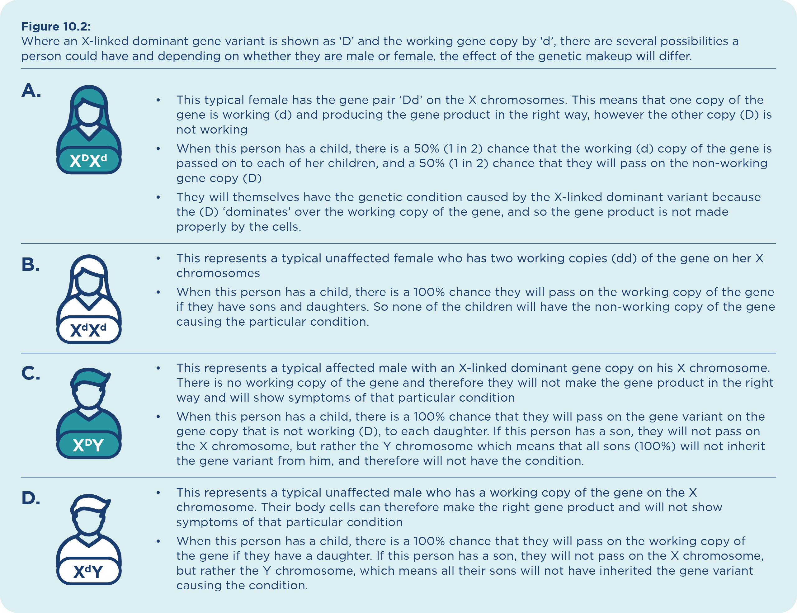 X Linked Dominant Inheritance Examples Pedigree Analysis Types,