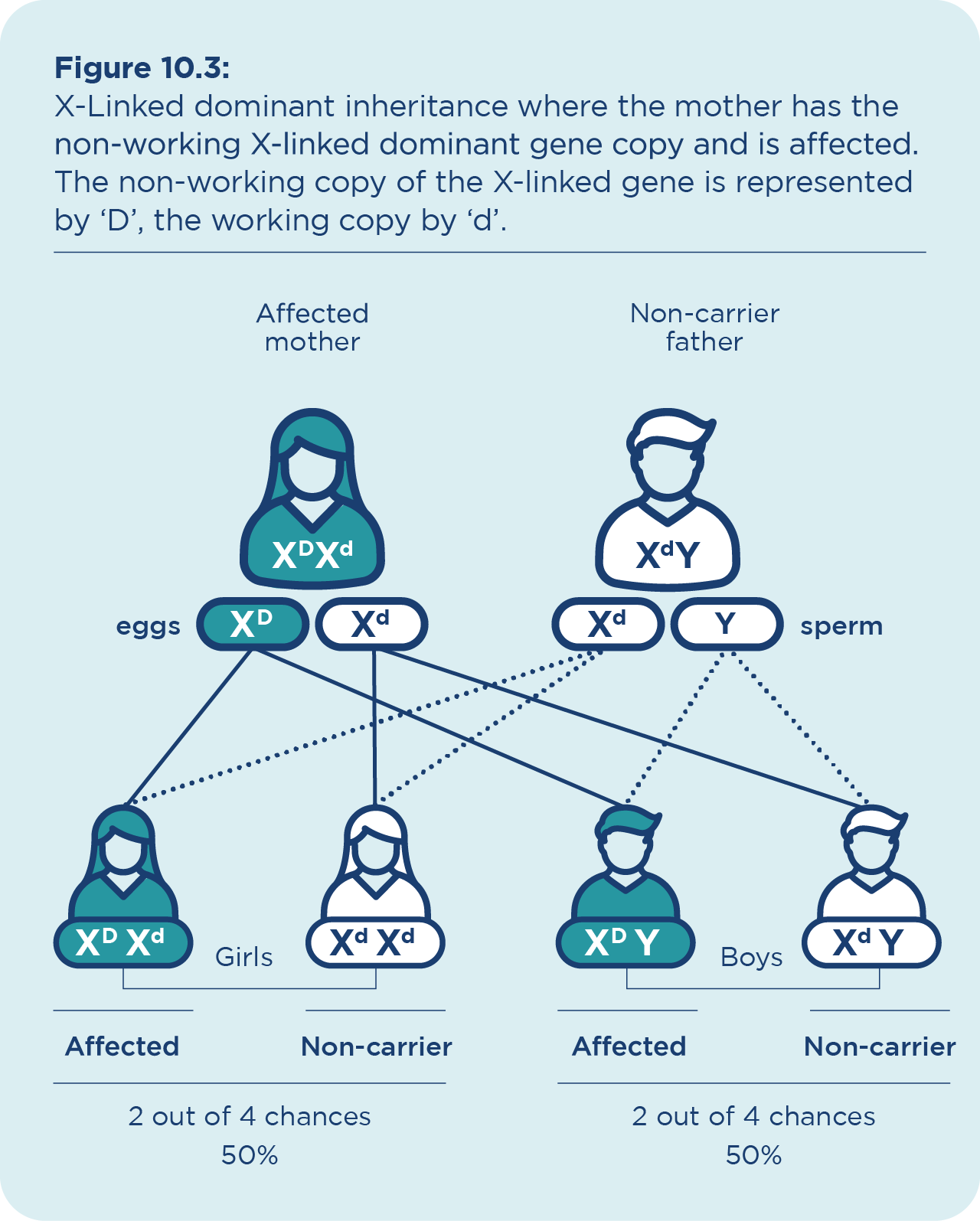 Dominant Trait Example