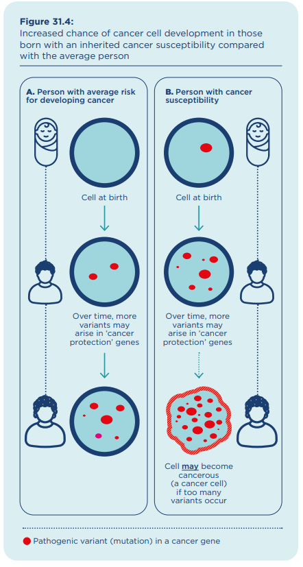 Genetics And Cancer Cancer