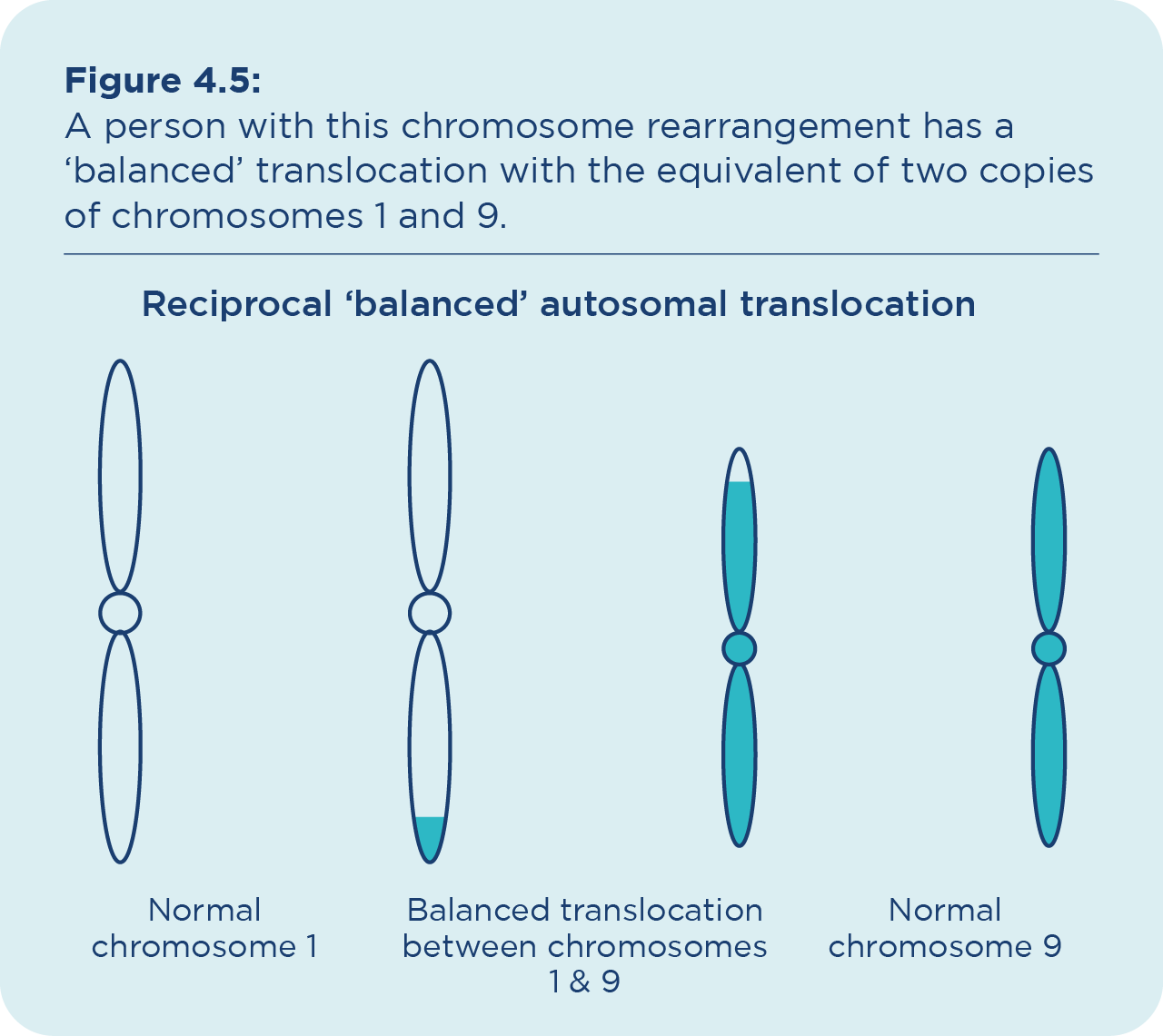 Can Changes In The Structure Of Chromosomes Affect Health Chromosome