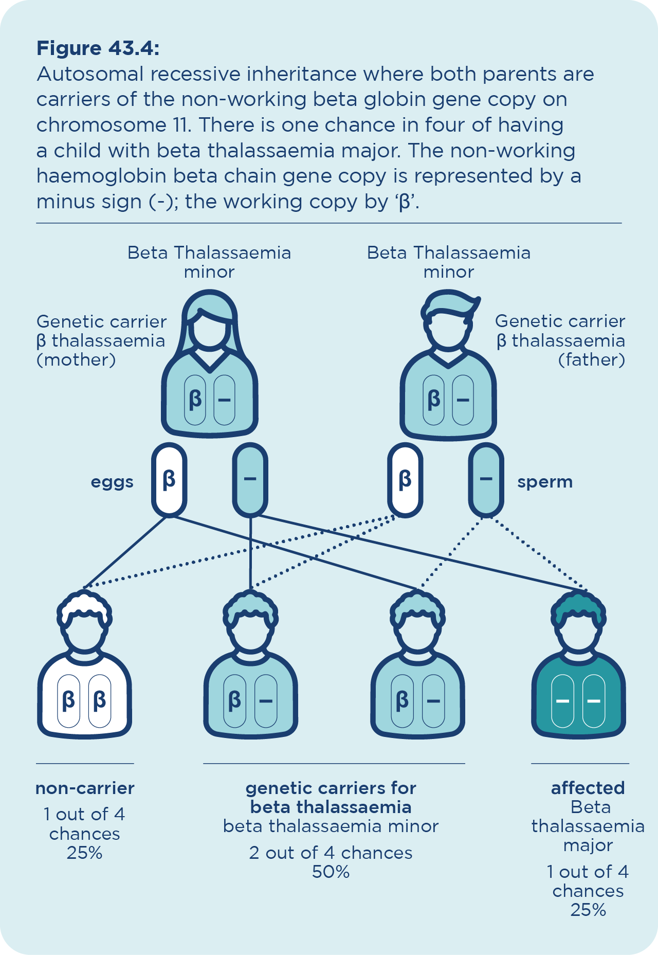 Alpha Thalassemia Symptoms