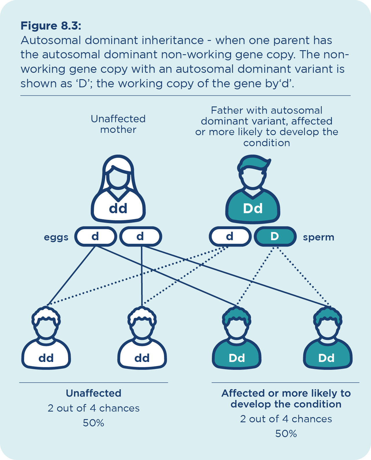 Dominant Gene